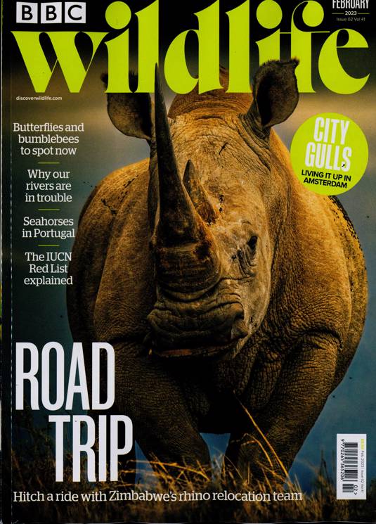 Bbc Wildlife Magazine Subscription | Buy at Newsstand.co.uk | Wildlife
