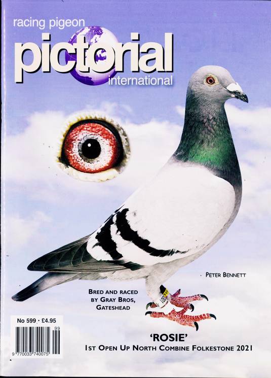 Racing Pigeon Pictorial Magazine Subscription | Buy at Newsstand.co.uk ...