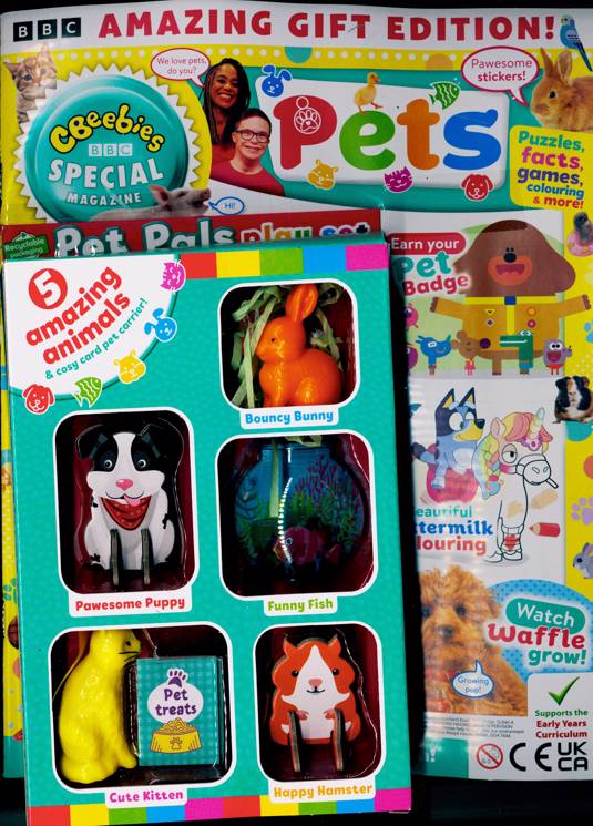 Cbeebies Special Gift Magazine Subscription | Buy at Newsstand.co.uk ...