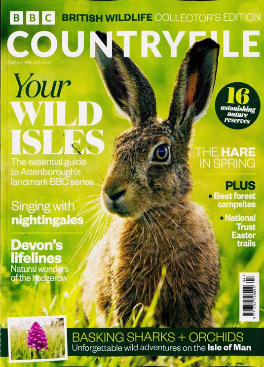 Bbc Countryfile Magazine Subscription | Buy at Newsstand.co.uk ...