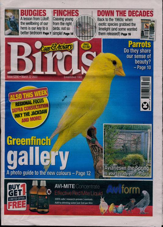 Cage And Aviary Birds Magazine Subscription | Buy at Newsstand.co.uk ...