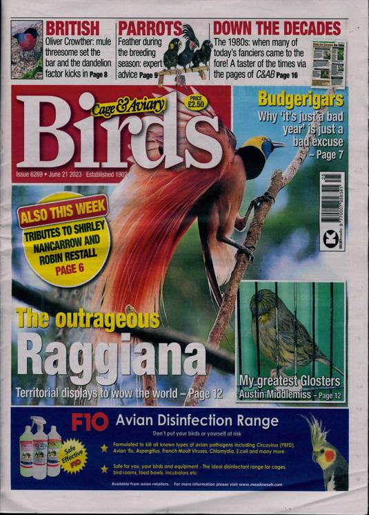 Cage And Aviary Birds Magazine Subscription | Buy at Newsstand.co.uk ...