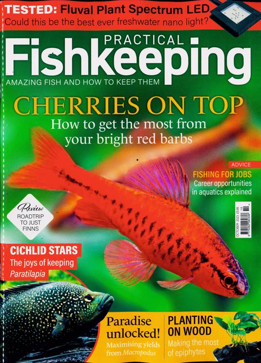 Practical Fishkeeping Magazine Subscription | Buy at Newsstand.co.uk | Fish