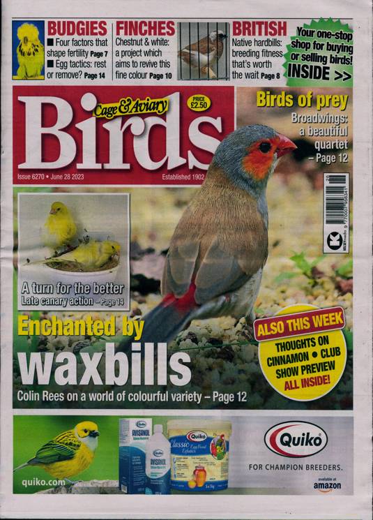 Cage And Aviary Birds Magazine Subscription | Buy at Newsstand.co.uk ...