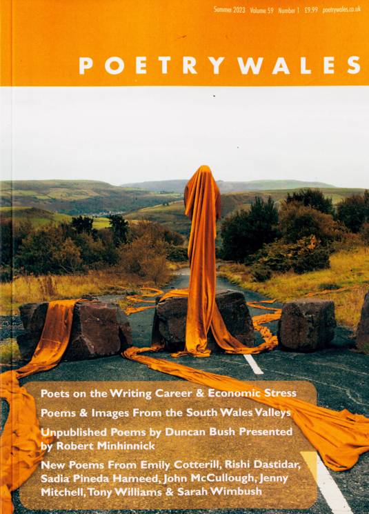 Poetry Wales Magazine Subscription | Buy at Newsstand.co.uk | Literary