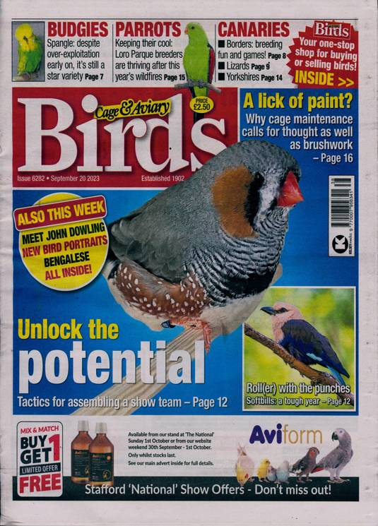 Cage And Aviary Birds Magazine Subscription | Buy at Newsstand.co.uk ...