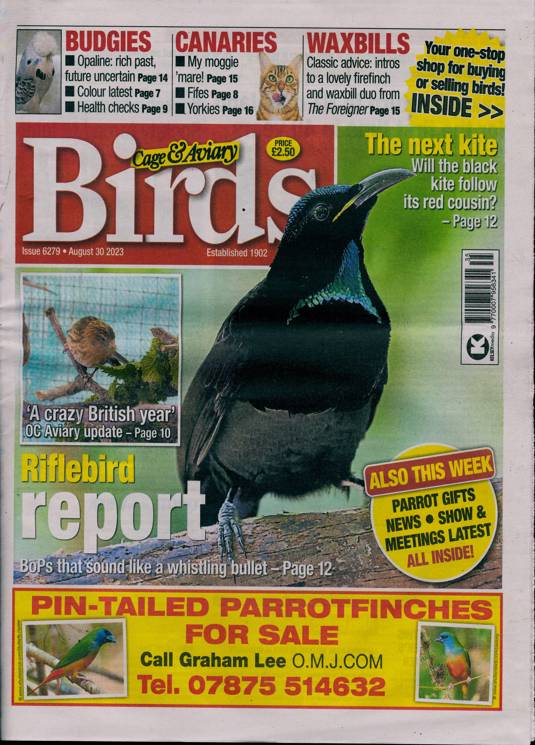 Cage And Aviary Birds Magazine Subscription | Buy at Newsstand.co.uk ...