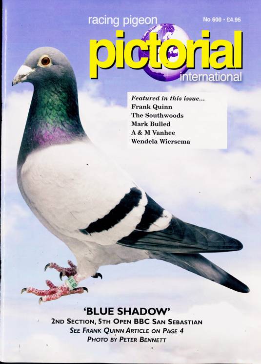 Racing Pigeon Pictorial Magazine Subscription | Buy at Newsstand.co.uk ...