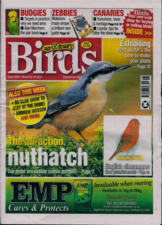 Cage And Aviary Birds Magazine Subscription | Buy at Newsstand.co.uk ...