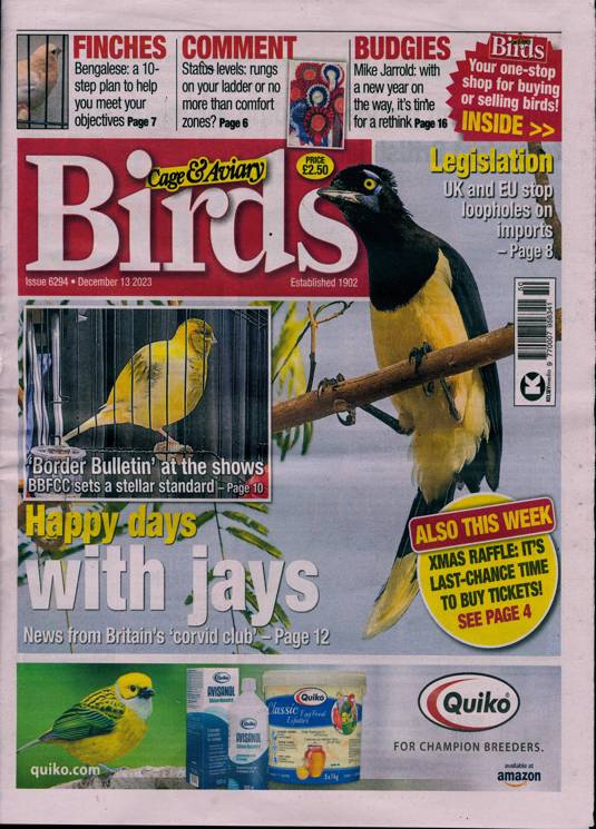 Cage And Aviary Birds Magazine Subscription | Buy at Newsstand.co.uk ...