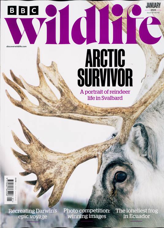 Bbc Wildlife Magazine Subscription | Buy at Newsstand.co.uk | Wildlife