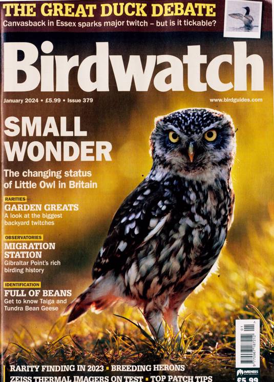 Birdwatch Magazine Subscription | Buy at Newsstand.co.uk | Birds