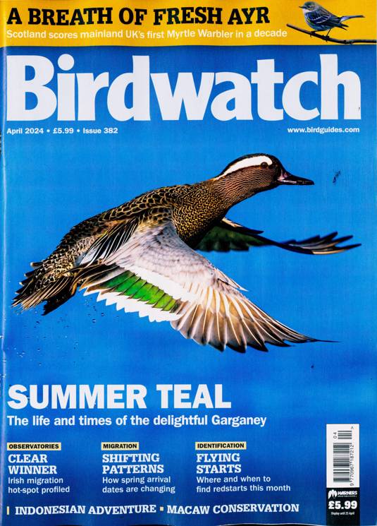 Birdwatch Magazine Subscription | Buy at Newsstand.co.uk | Birds