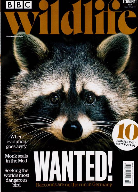 Bbc Wildlife Magazine Subscription | Buy at Newsstand.co.uk | Wildlife