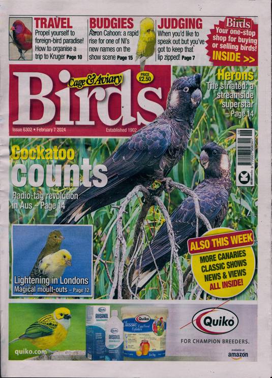 Cage And Aviary Birds Magazine Subscription | Buy at Newsstand.co.uk ...