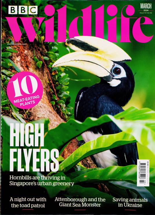 Bbc Wildlife Magazine Subscription | Buy at Newsstand.co.uk | Wildlife