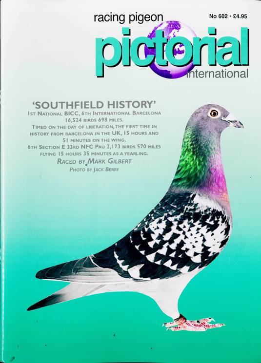Racing Pigeon Pictorial Magazine Subscription | Buy at Newsstand.co.uk ...