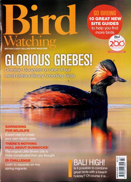 Bird Watching Magazine Subscription | Buy at Newsstand.co.uk | Birds