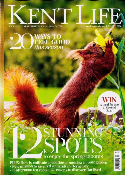 Kent Life Magazine Subscription | Buy at Newsstand.co.uk | Regional