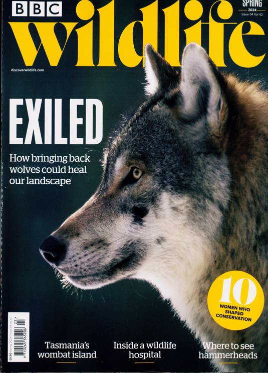 Bbc Wildlife Magazine Subscription | Buy at Newsstand.co.uk | Wildlife