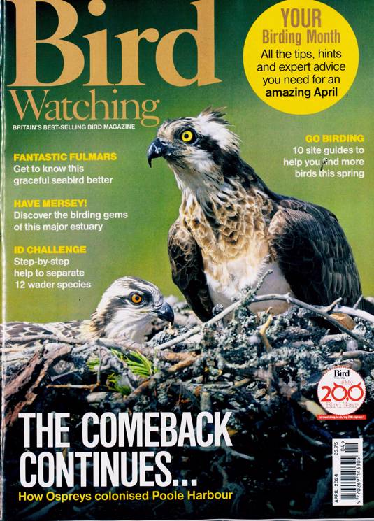 Bird Watching Magazine Subscription | Buy at Newsstand.co.uk | Birds