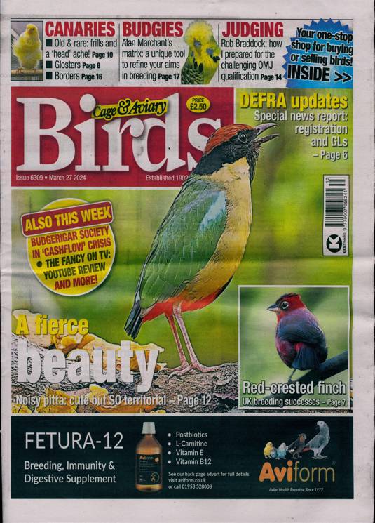 Cage And Aviary Birds Magazine Subscription | Buy at Newsstand.co.uk ...