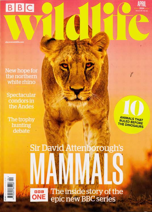 Bbc Wildlife Magazine Subscription | Buy at Newsstand.co.uk | Wildlife