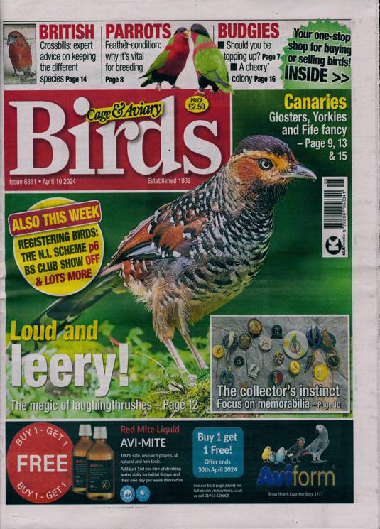 Cage And Aviary Birds Magazine Subscription | Buy at Newsstand.co.uk ...