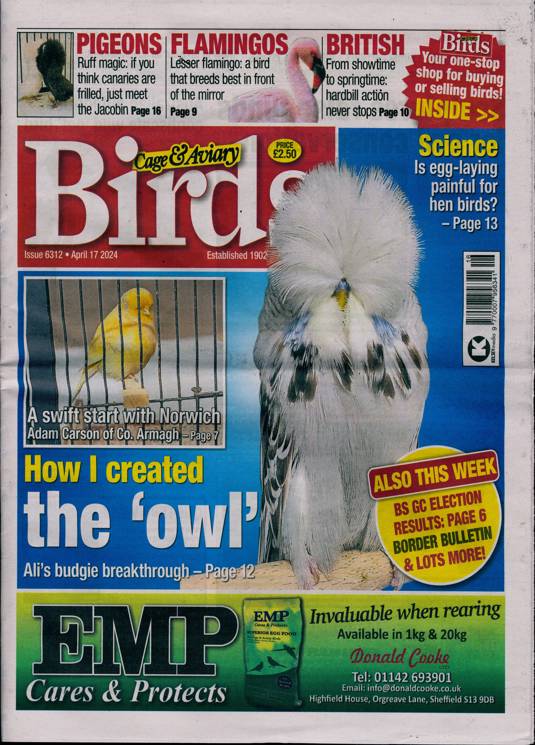 Cage And Aviary Birds Magazine Subscription | Buy at Newsstand.co.uk ...